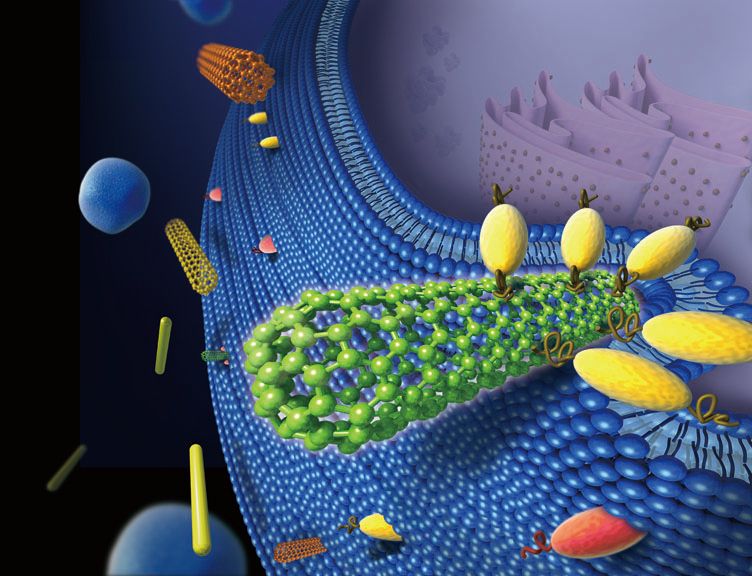 8 Places Where Nanotechnology is Already in Use