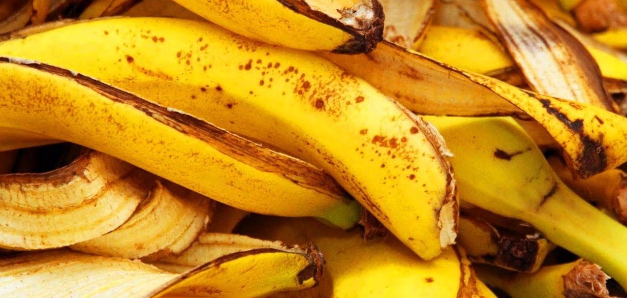 Banana Skins used as Nanofertilizer Feedstock