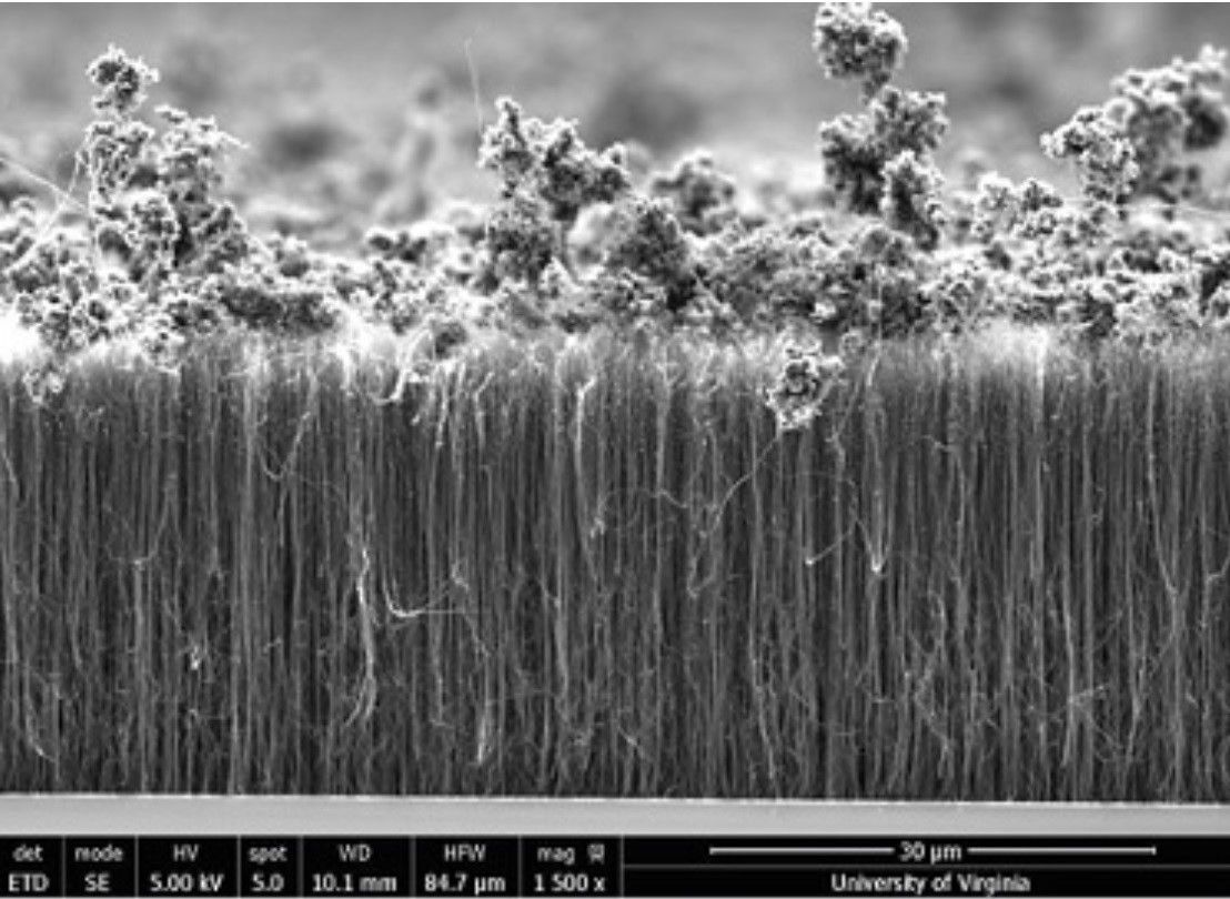 Crumpled Carbon Nanotube Forests lead to Wearable Tech Crumpled Carbon Nanotube Forests lead to Wearable Tech