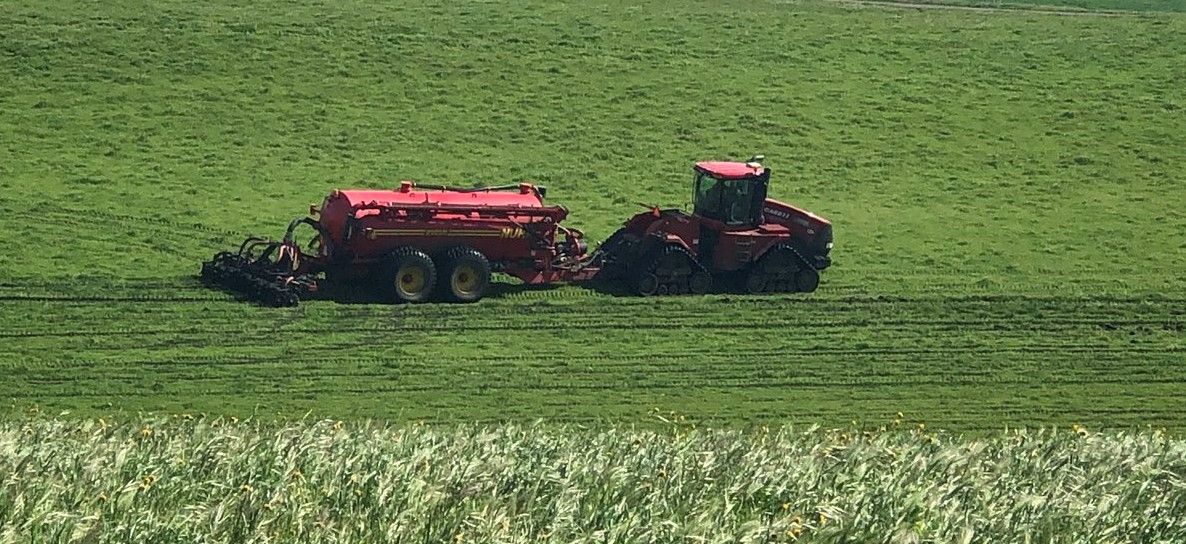 Biofertilizers: What are the Pros and Cons?