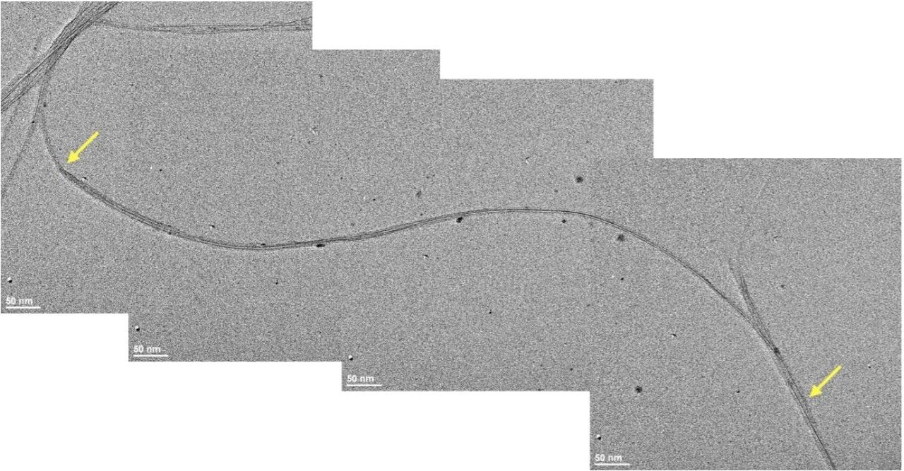 Researchers Create 1D Nanowires from Carbon Nanotubes