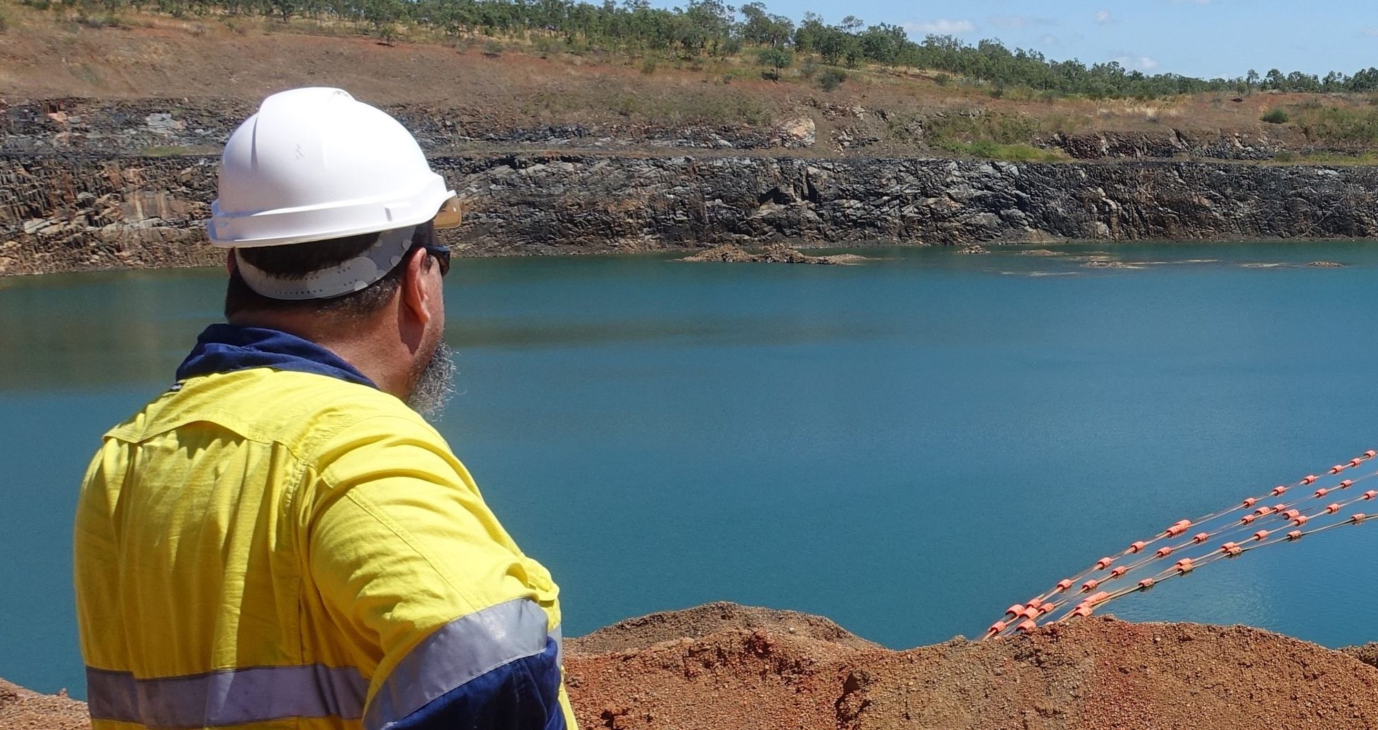 Biofertilizer-style Breakthrough made with Fungi